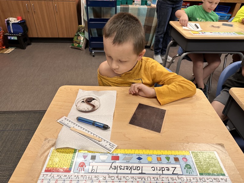 Worms to the Wise | Garfield STEAM Academy